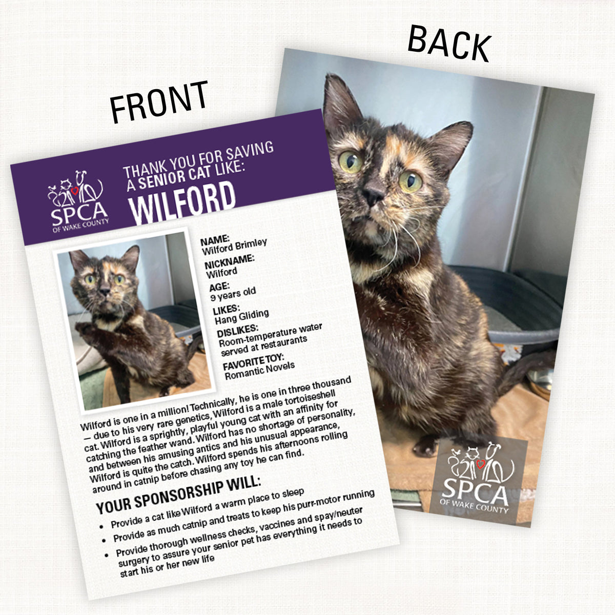 Symbolic Adoption: Cat – SPCA Wake